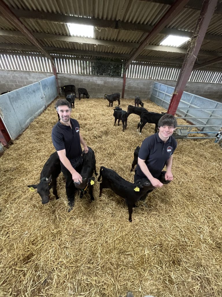 Wagyu FarmersWhat to look for when joining a beef supply chain scheme ...