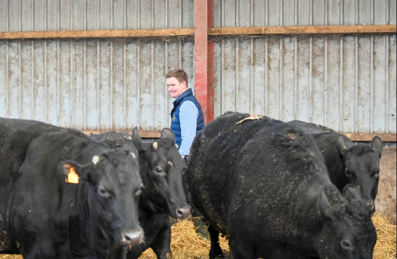Wagyu FarmersLocalised Wagyu Systems - Wagyu Farmers